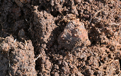 Soil+ I Biostimulant Liquid Nutrition & Zeolite I AgriSea New Zealand