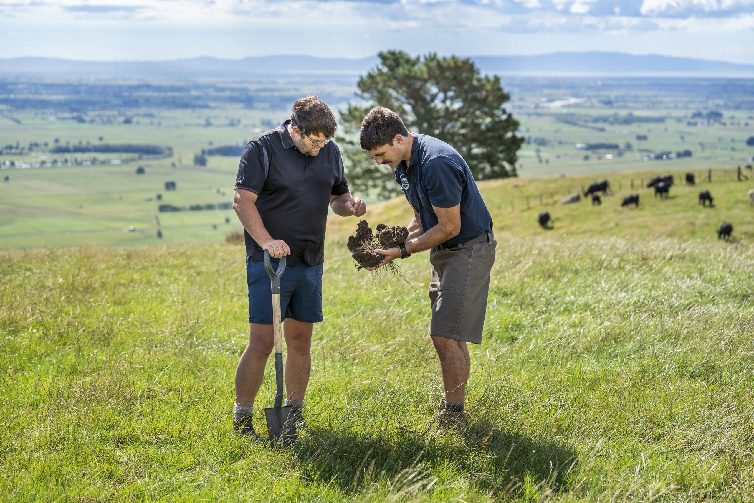 Drystock Farm Solutions - AgriSea NZ